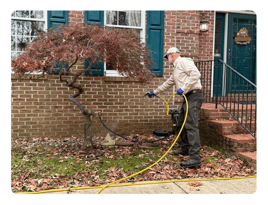 Our Services - Planet Friendly Pest Control